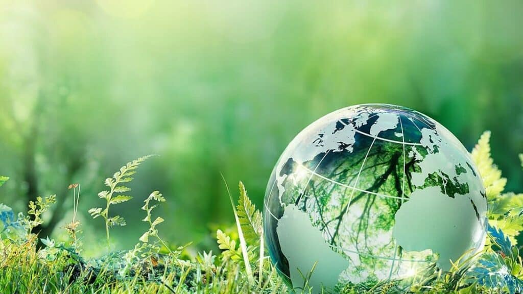 Ecologische wereld - Subhan